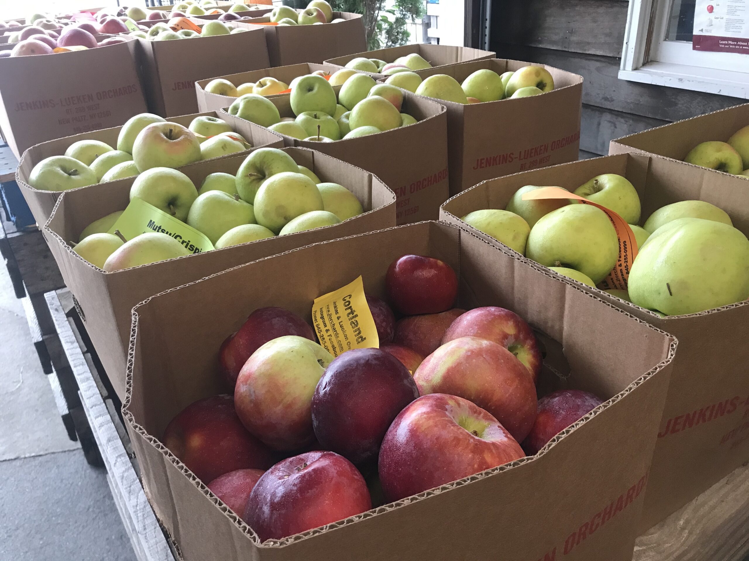 Cider Making Upstate Dispatch