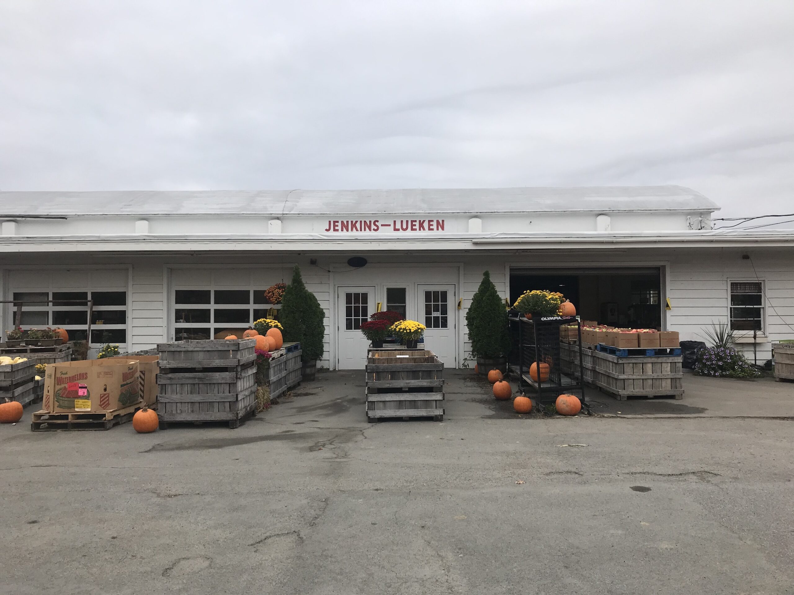 Cider Making Upstate Dispatch